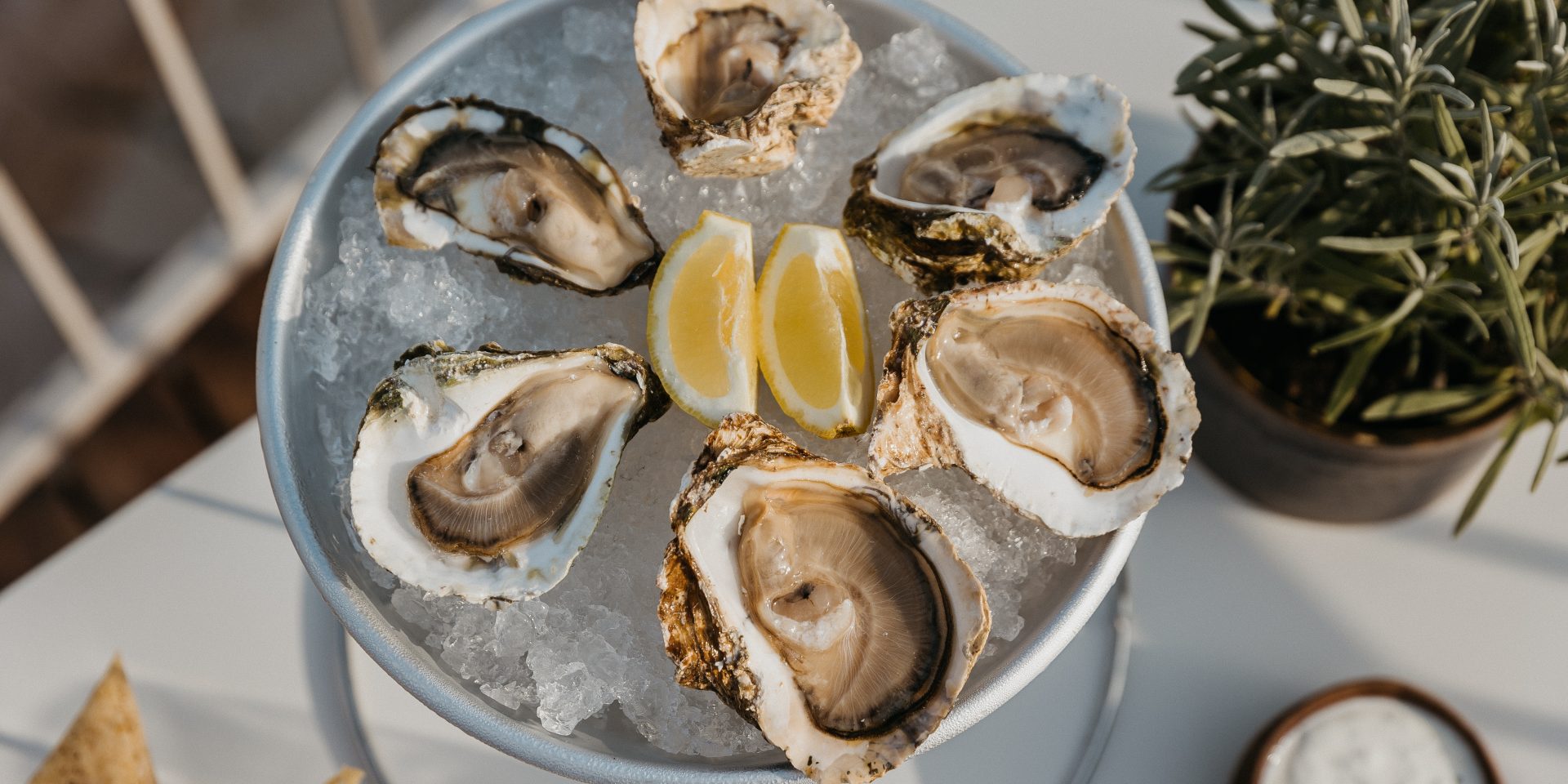 Mamula - Travel House